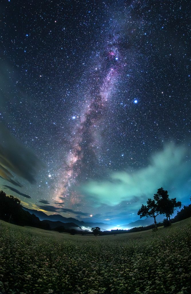 2023年10月号「花のある星空風景」 – ASPJ 日本星景写真協会
