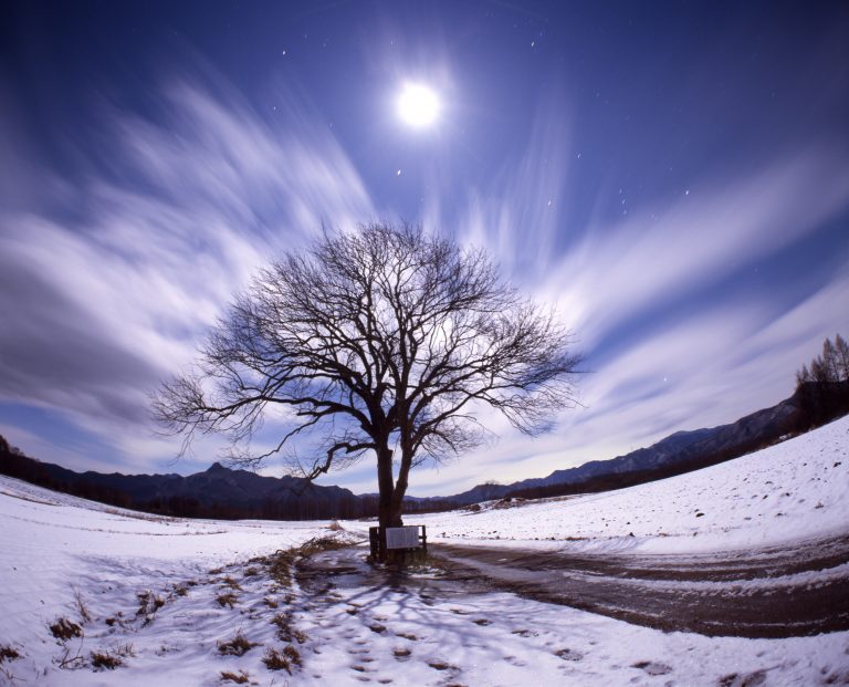 2024年8月号「ヤマナシの樹とともに…」 – ASPJ 日本星景写真協会