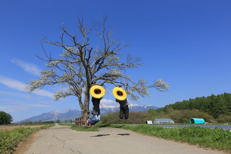 2024年8月号「ヤマナシの樹とともに…」 – ASPJ 日本星景写真協会