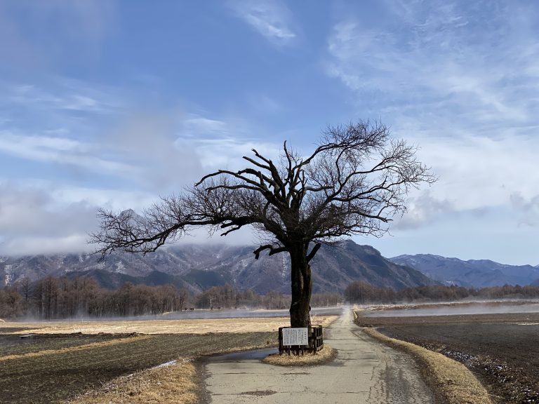 2024年8月号「ヤマナシの樹とともに…」 – ASPJ 日本星景写真協会