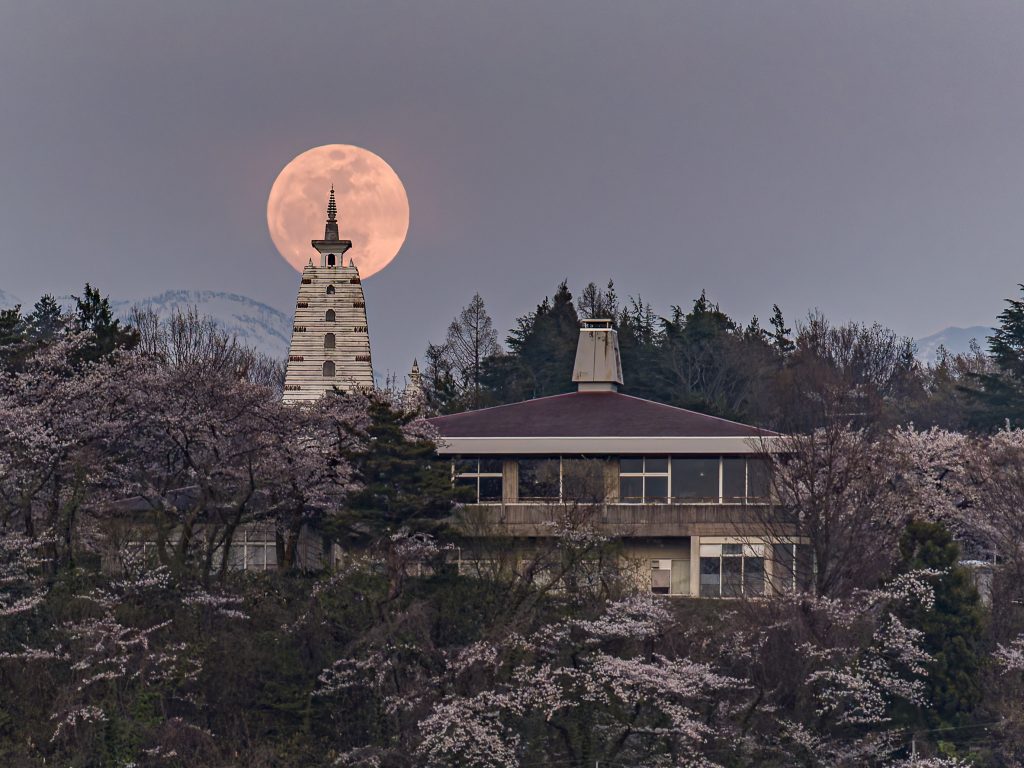 2025年8月号「ふるさとの美しき夜」 – ASPJ 日本星景写真協会